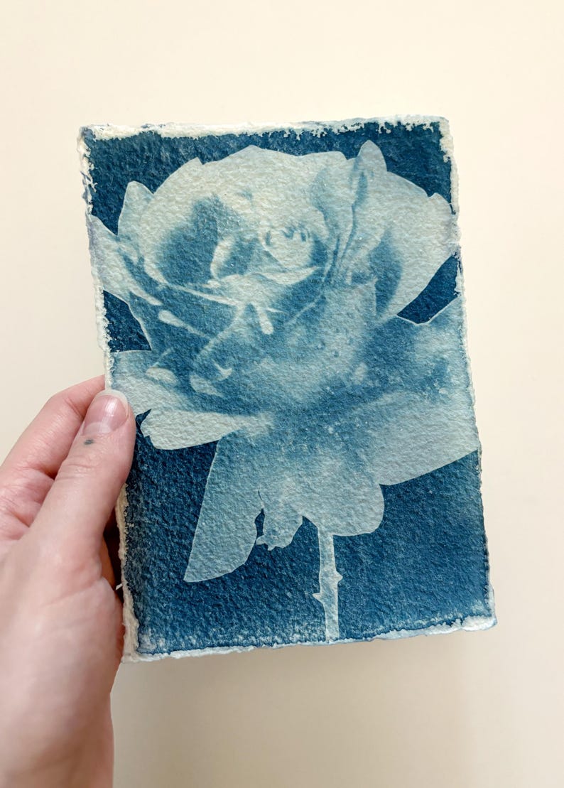 Original Rose Cyanotype. Unique Blueprint. Sunprint. - Etsy