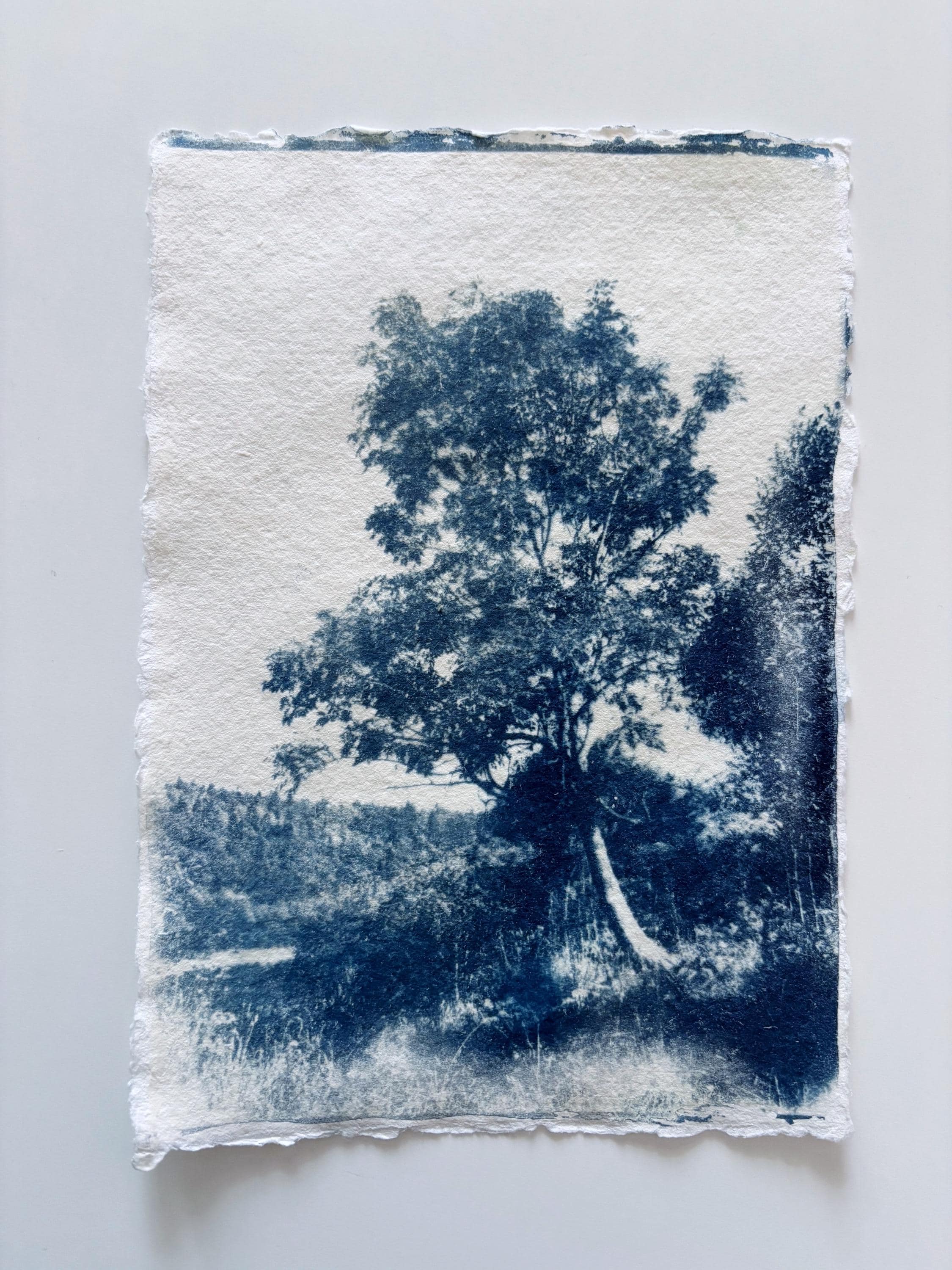 Original Cyanotype Landscape on Handmade Paper. Created From Analog ...