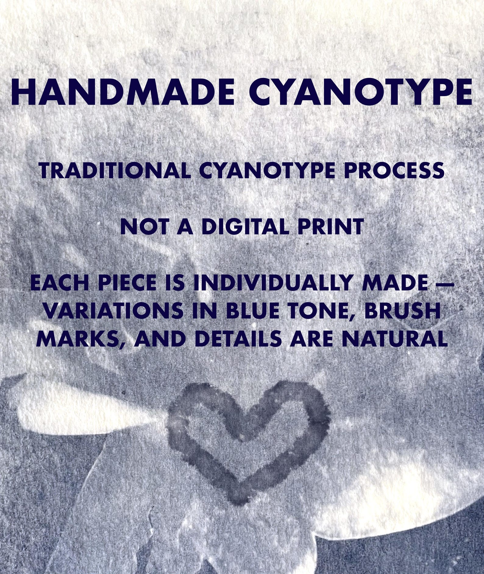 Original Cyanotype From Analog Photography. Unique. Blueprint. Flower ...