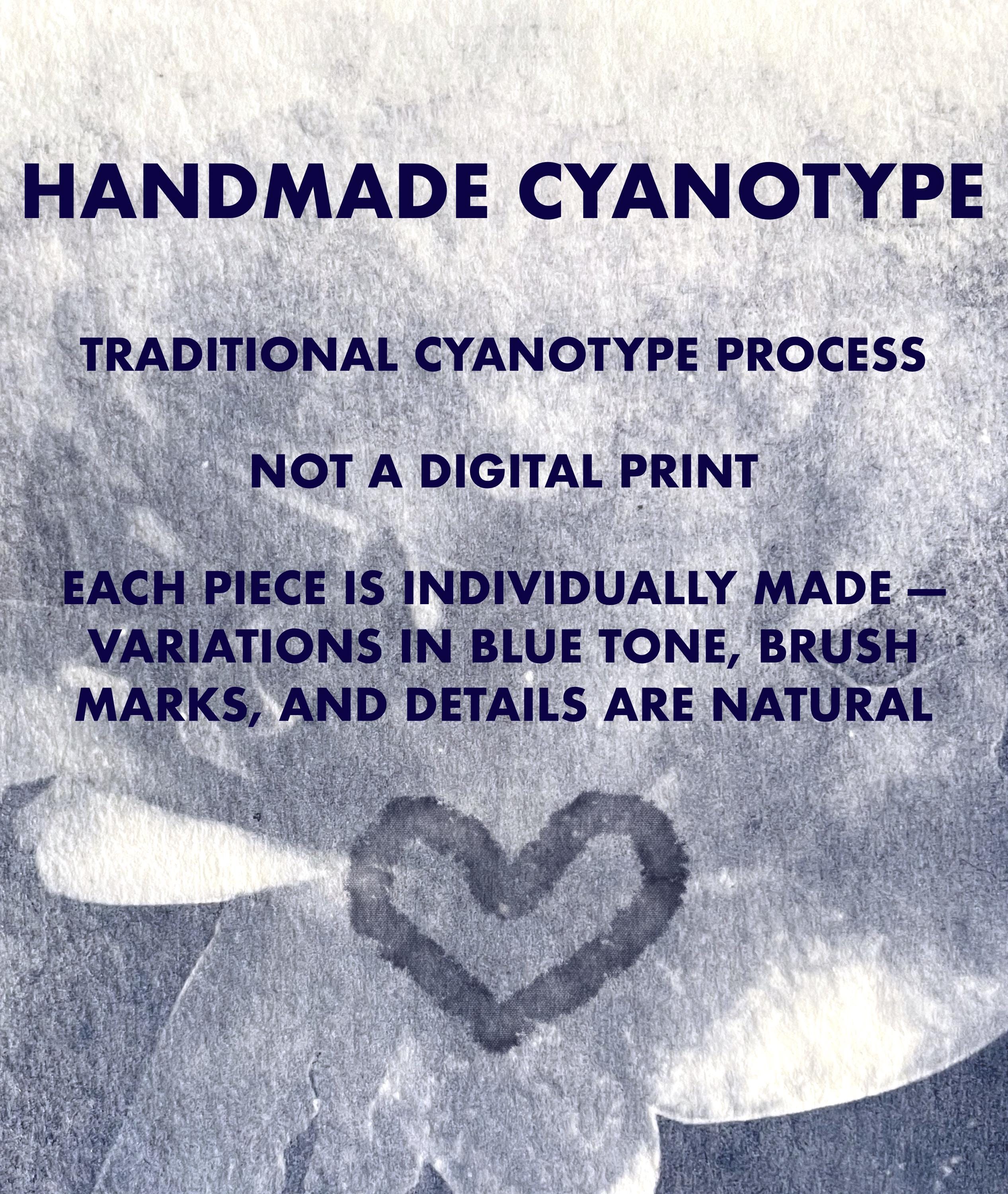 Original Cyanotype From Analog Photography. Unique. Blueprint. Flower ...