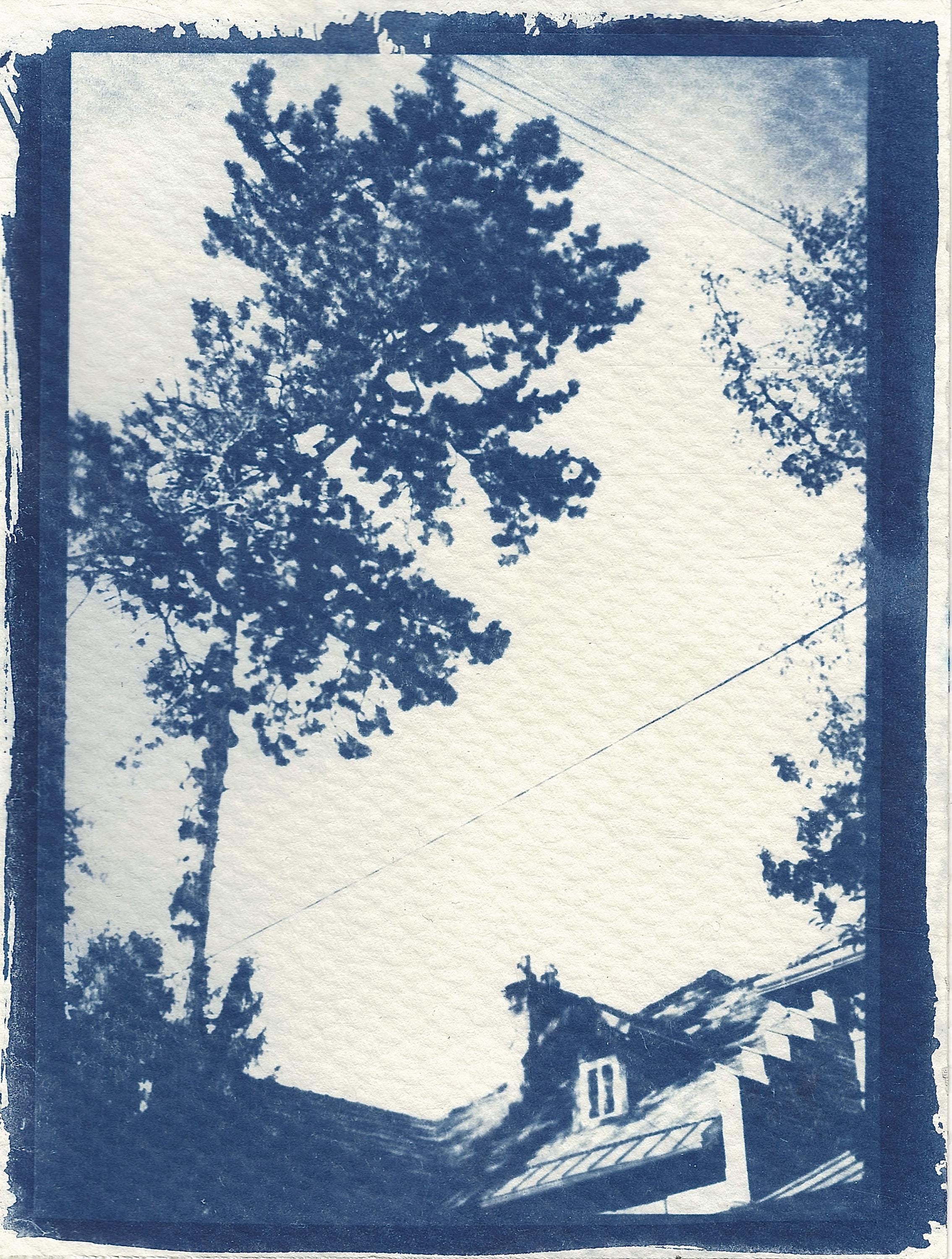 Original Cyanotype Print. House With Tree Cyanotype. Unique. Made From ...
