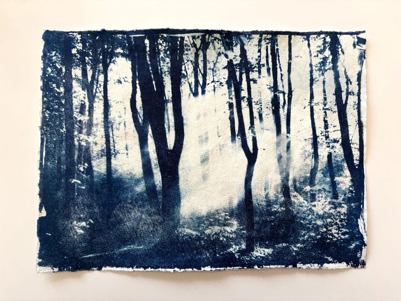 Original Cyanotype Print Forest. Unique Cyano. Blue Print. - Etsy