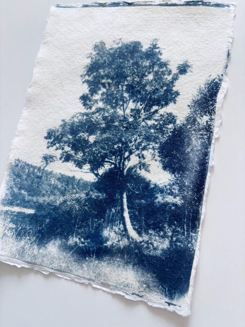 Original Cyanotype Landscape on Handmade Paper. Created From Analog ...