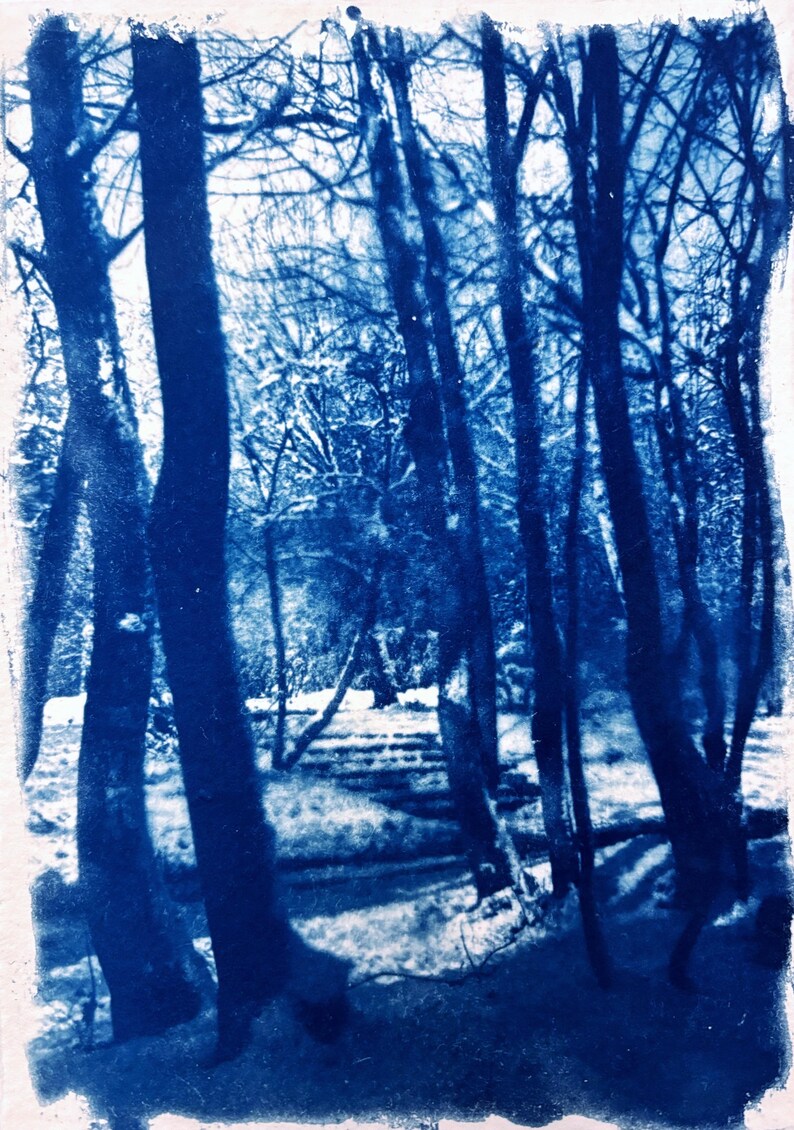 Original Cyanotype Forest. Handmade Cotton Paper, 21×15 Cm, Analog ...