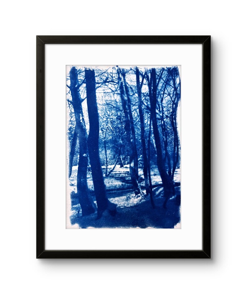Original Cyanotype Forest. Handmade Cotton Paper, 21×15 Cm, Analog ...