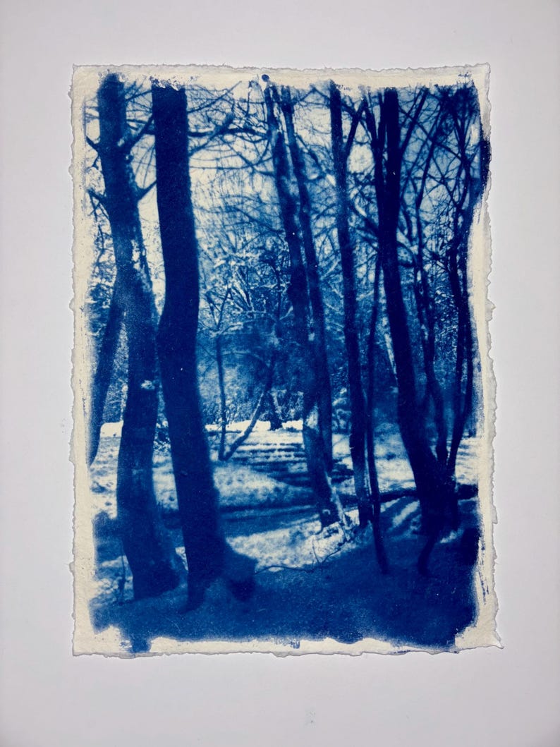 Original Cyanotype Forest. Handmade Cotton Paper, 21×15 Cm, Analog ...