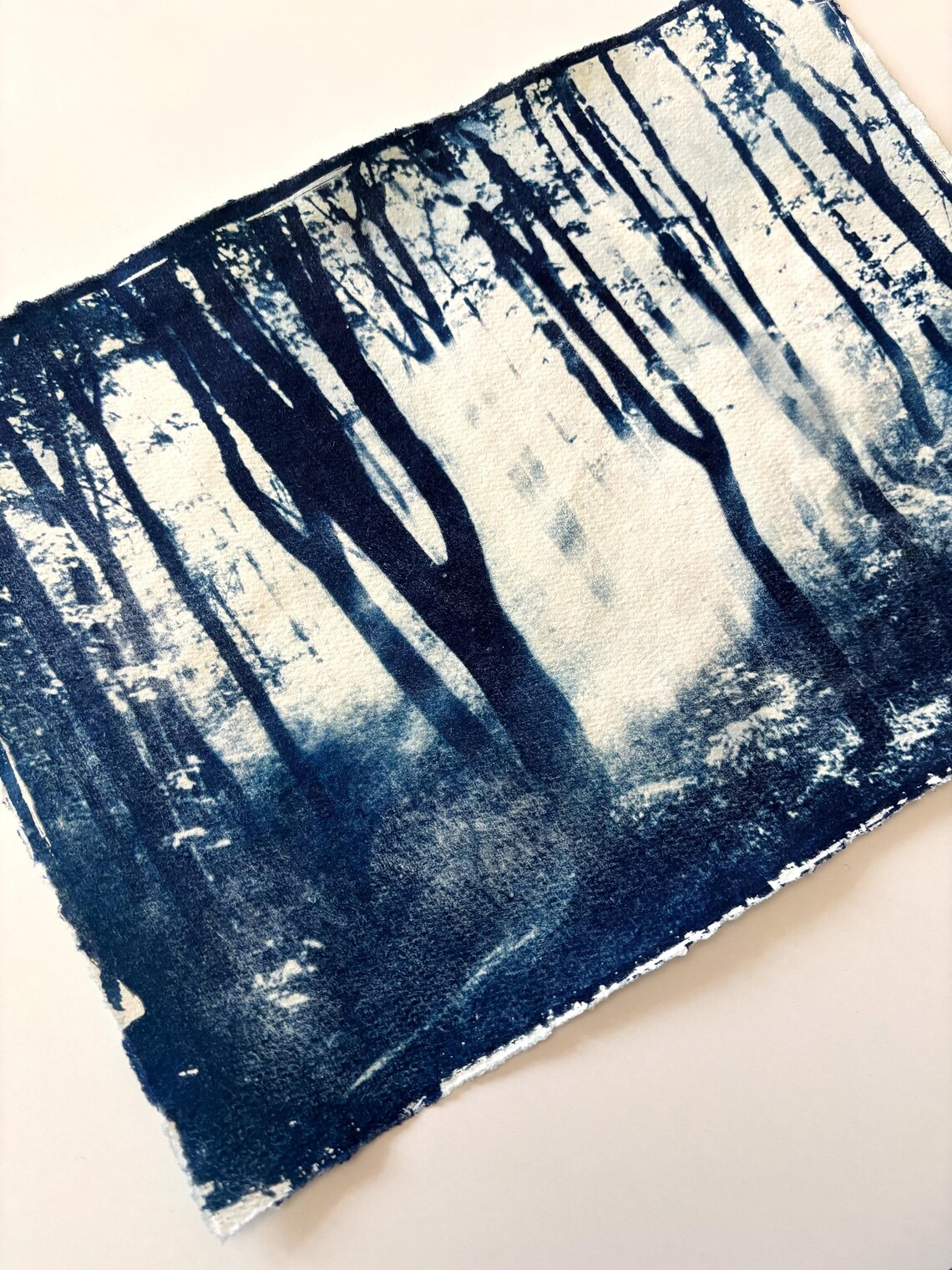 Original Cyanotype Print Forest. Unique Cyano. Blue Print. - Etsy UK