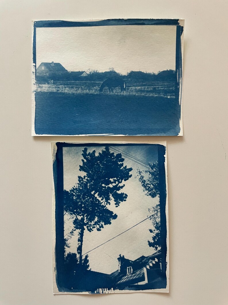 Original Cyanotype Print. House With Tree Cyanotype. Unique. Made From ...