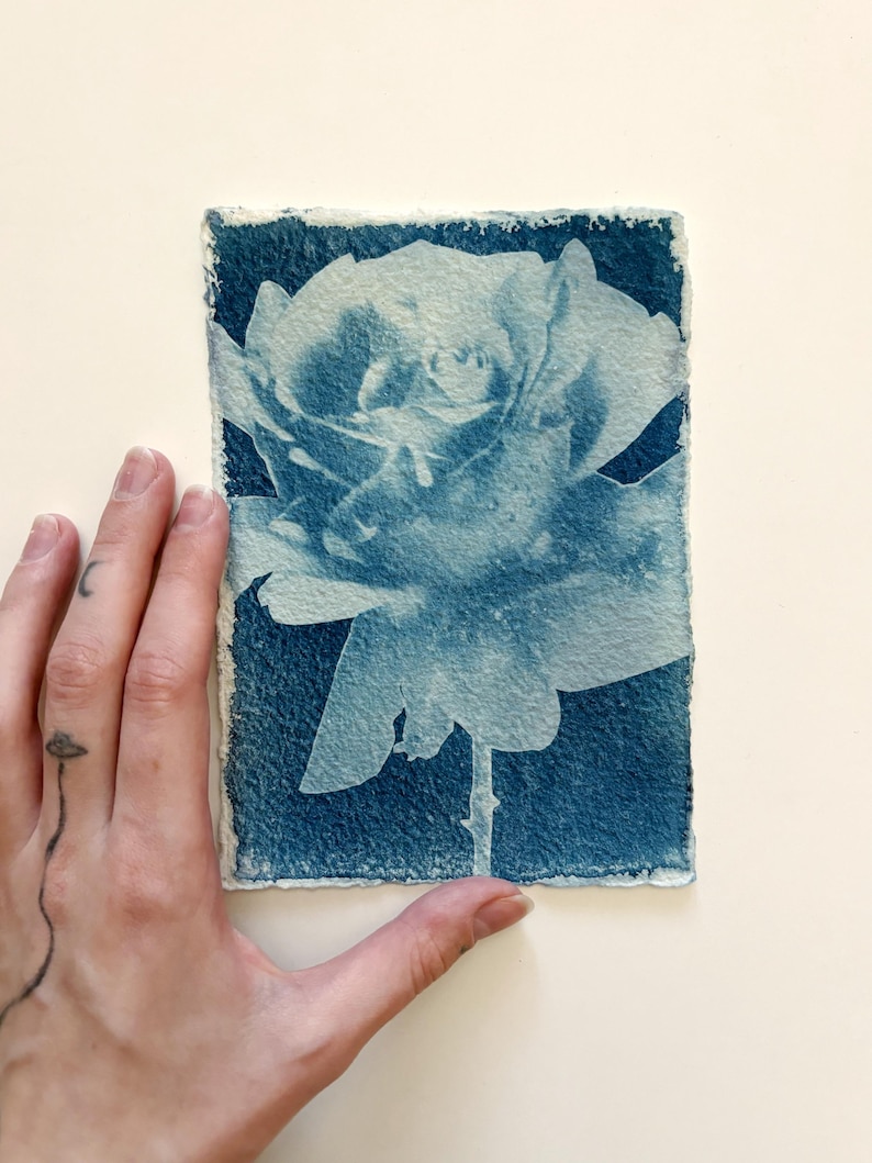 Original Rose Cyanotype. Unique Blueprint. Sunprint. - Etsy