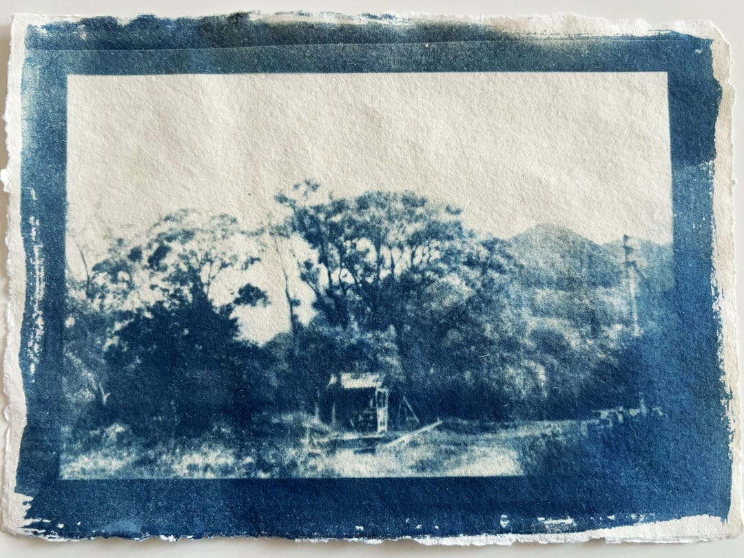 Original Cyanotype Print. Rural Landscape (21x15 Cm). Made From Film ...