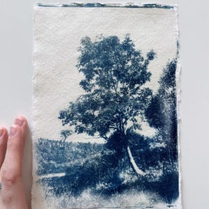 Original Cyanotype Landscape on Handmade Paper. Created From Analog ...