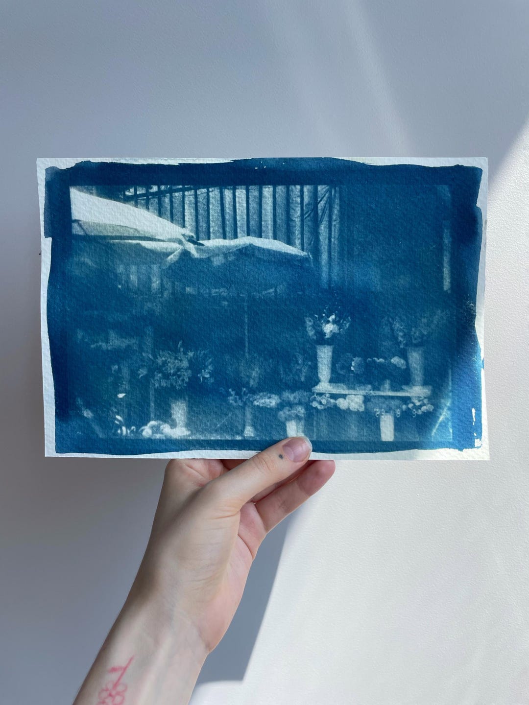 Original Cyanotype From Analog Photography. Unique. Blueprint. Flower ...
