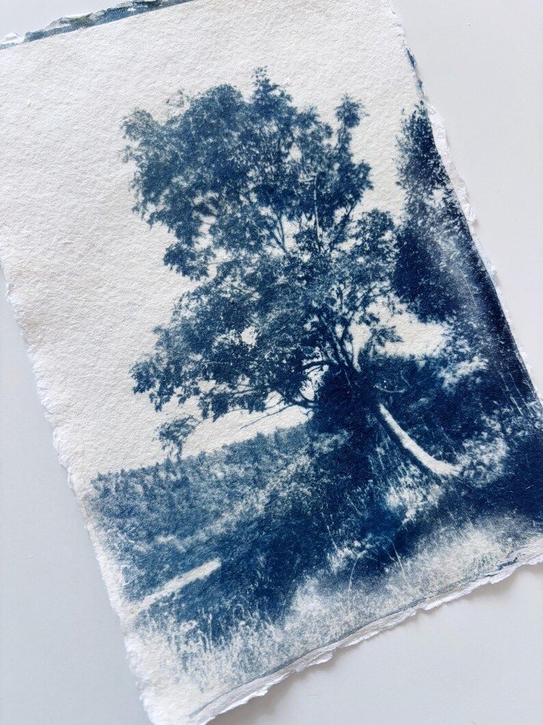 Original Cyanotype Landscape on Handmade Paper. Created From Analog ...