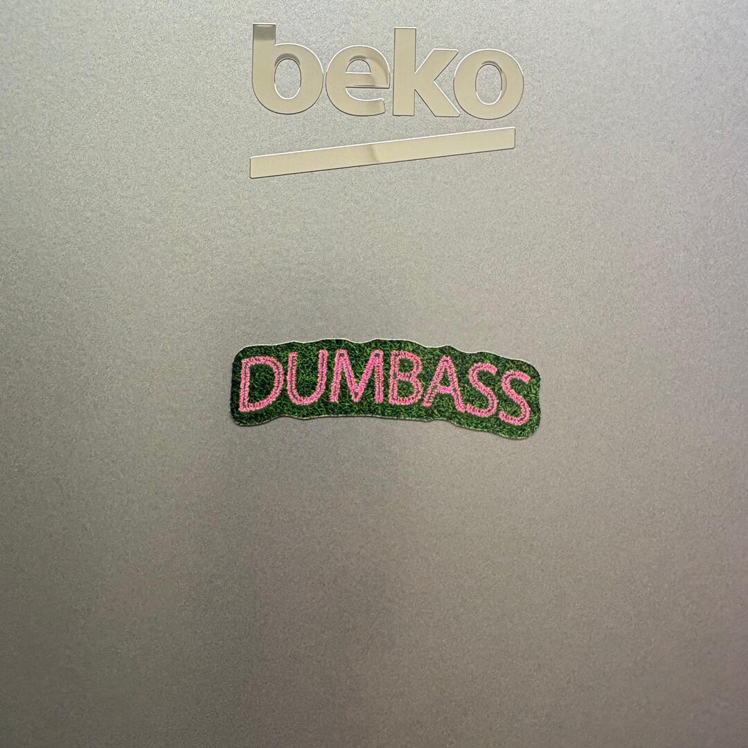 Dumbass Magnet: Pro Wrestling AEW WWE WCW Themed Fridge Magnet (2.5in ...