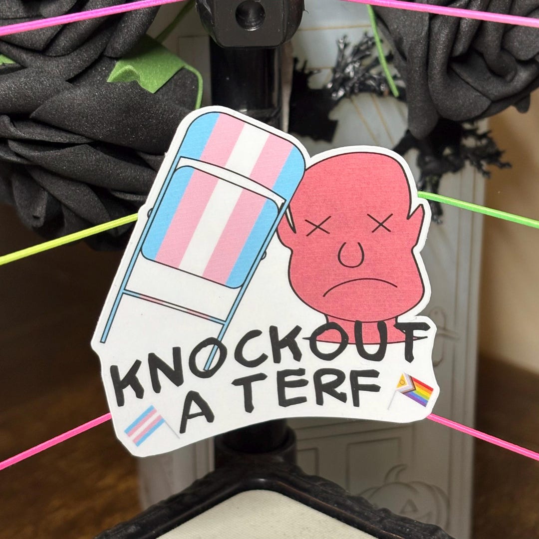 Pro Wrestling Sticker: Knock Out a TERF, Pride of Sport - Etsy