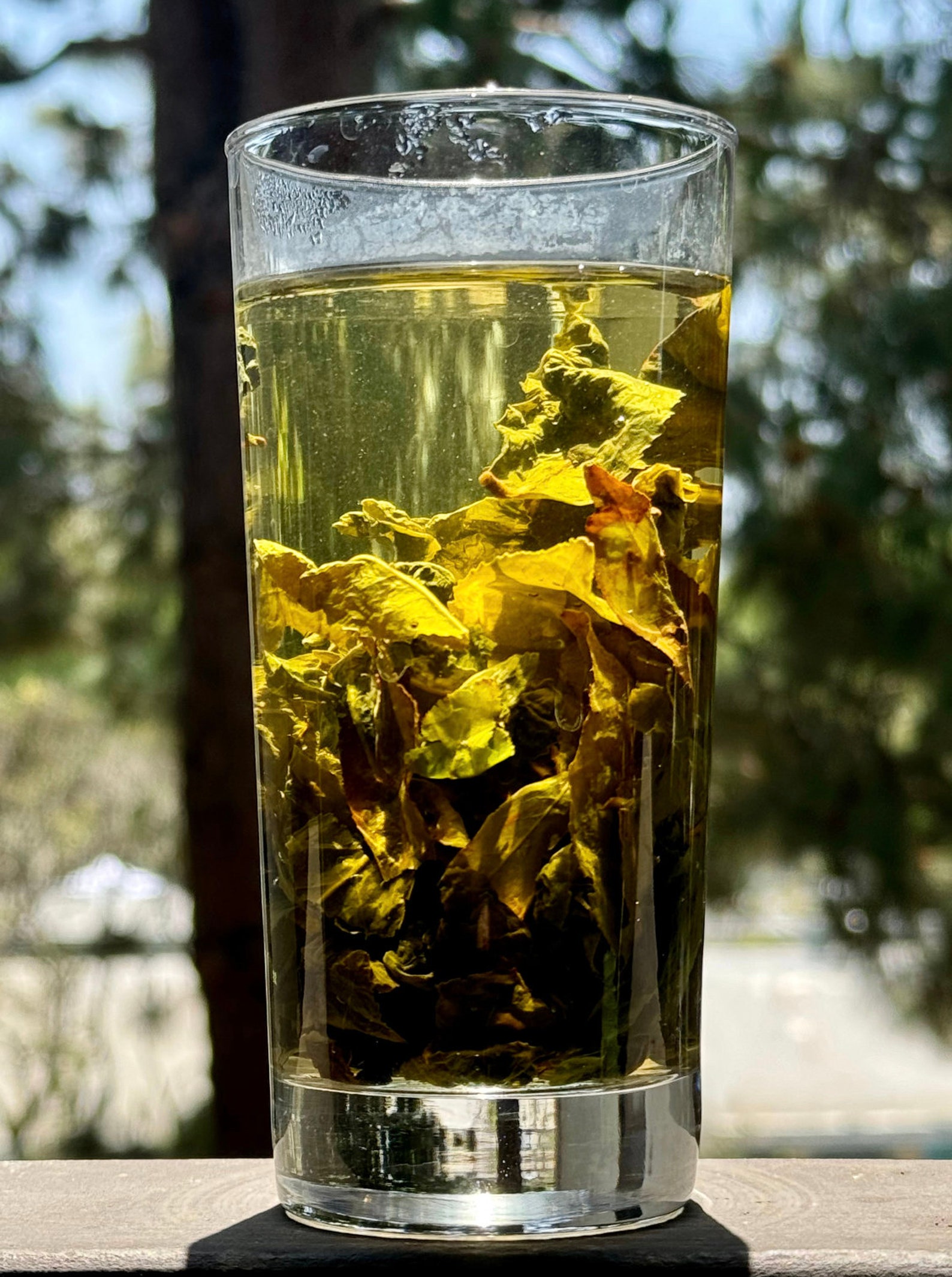 Huan Jing Gui / Golden Osmanthus Oolong Tea - Etsy
