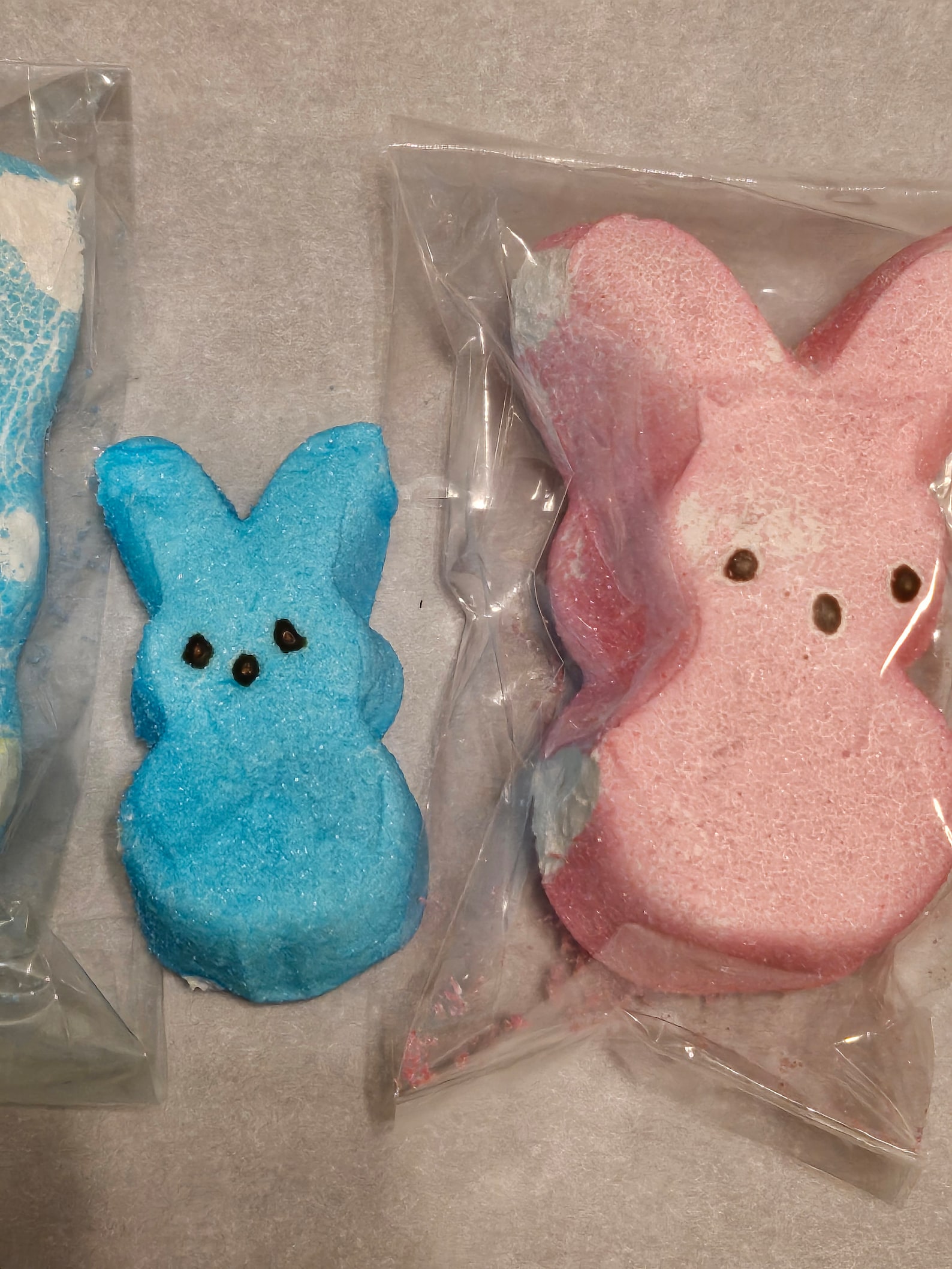 Easter Baskets - 10 Sample Packs of Freeze Dried Goodies . Bestie ...