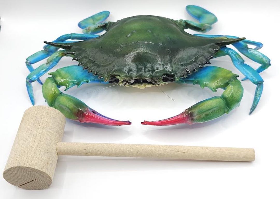 Chesapeake Blue Crab Super Jumbo Size - Realistic, Hand-painted ...