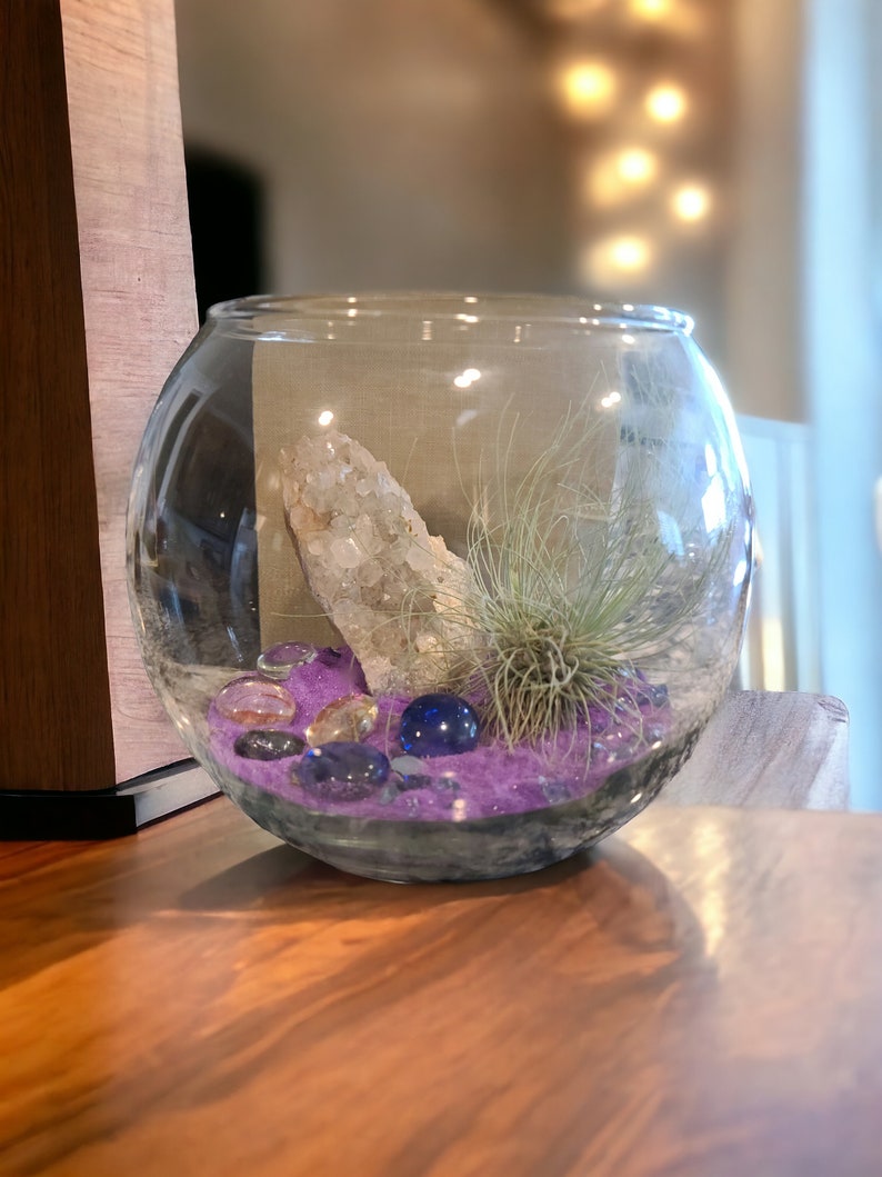 Air Plant Terrariums - Etsy