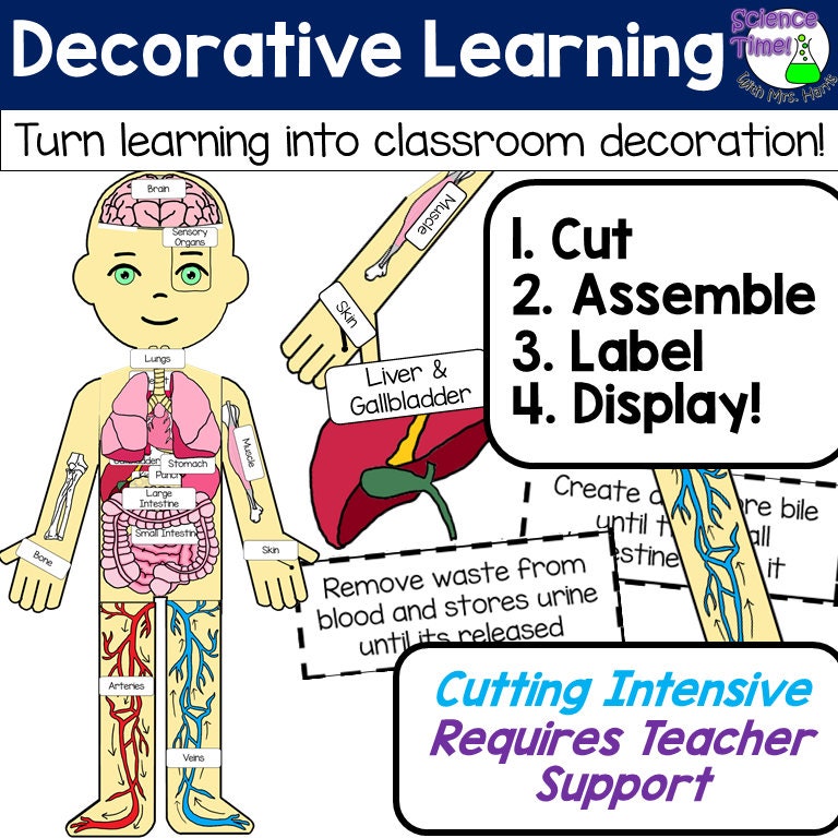 Printable Science Projects- Human Body Organs - Etsy