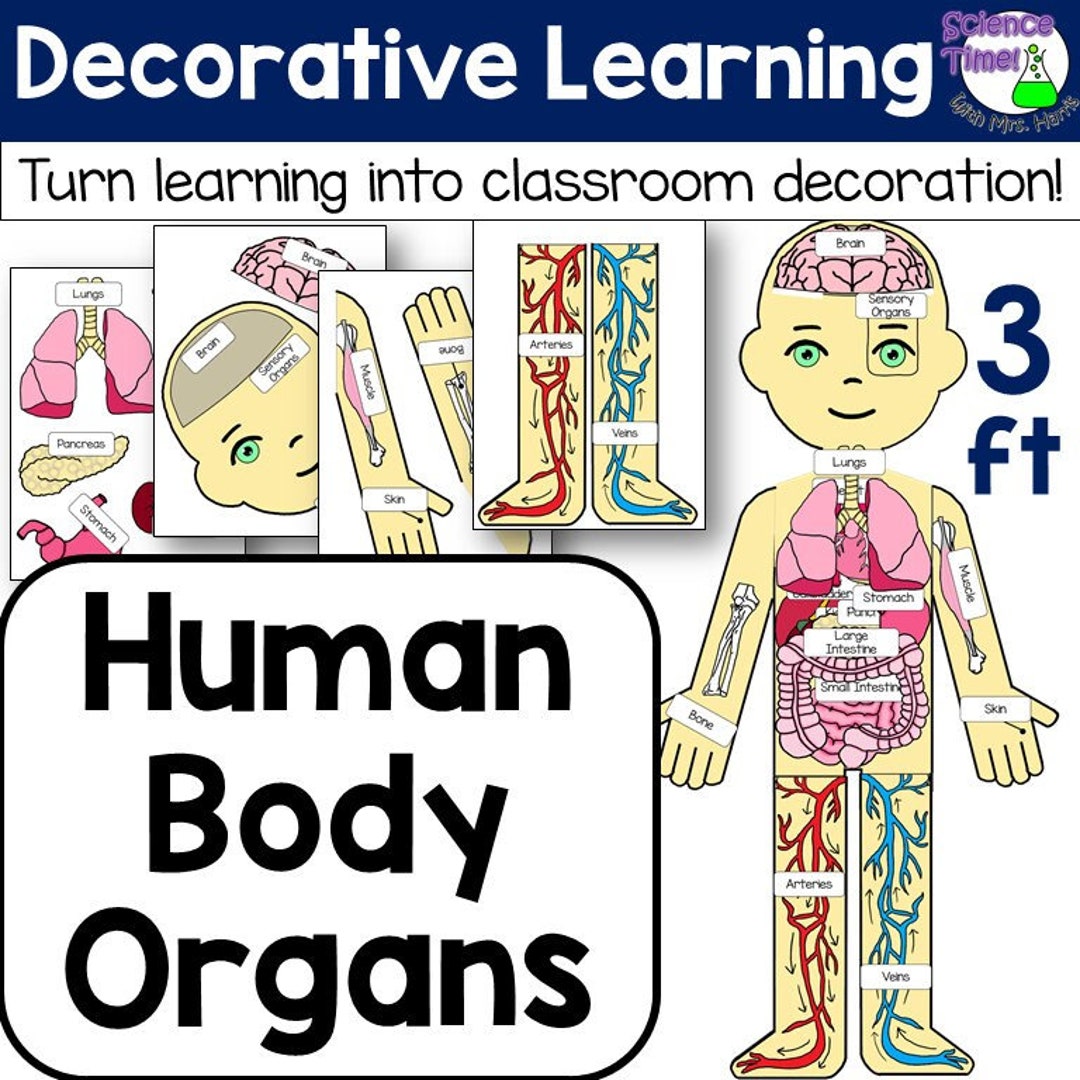 Printable Science Projects Human Body - Etsy