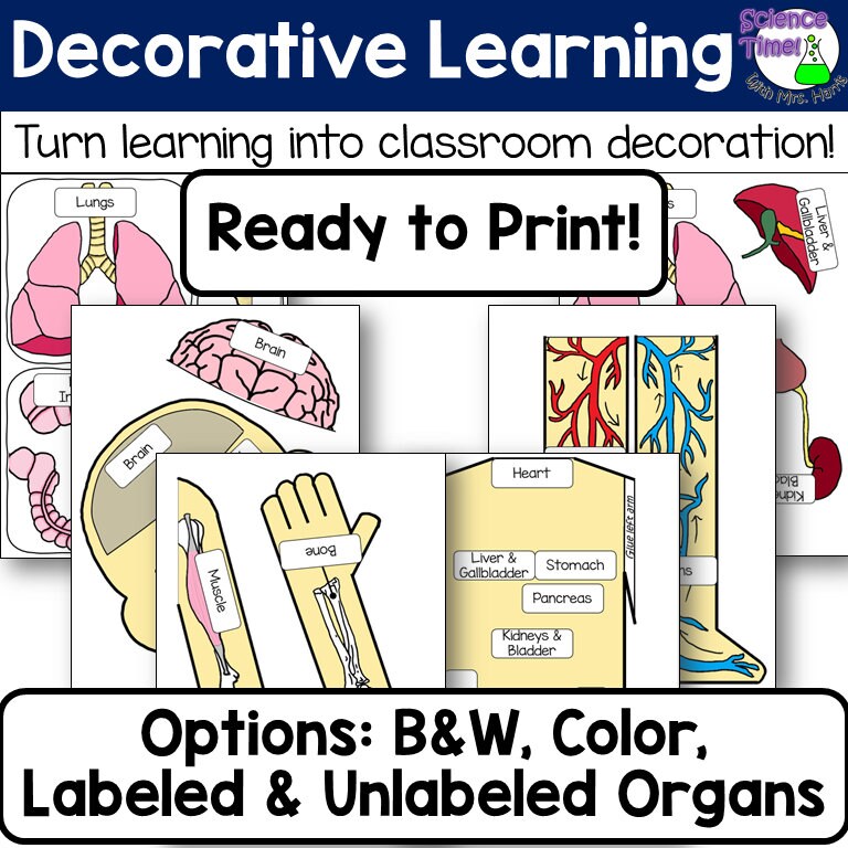 Printable Science Projects- Human Body Organs - Etsy