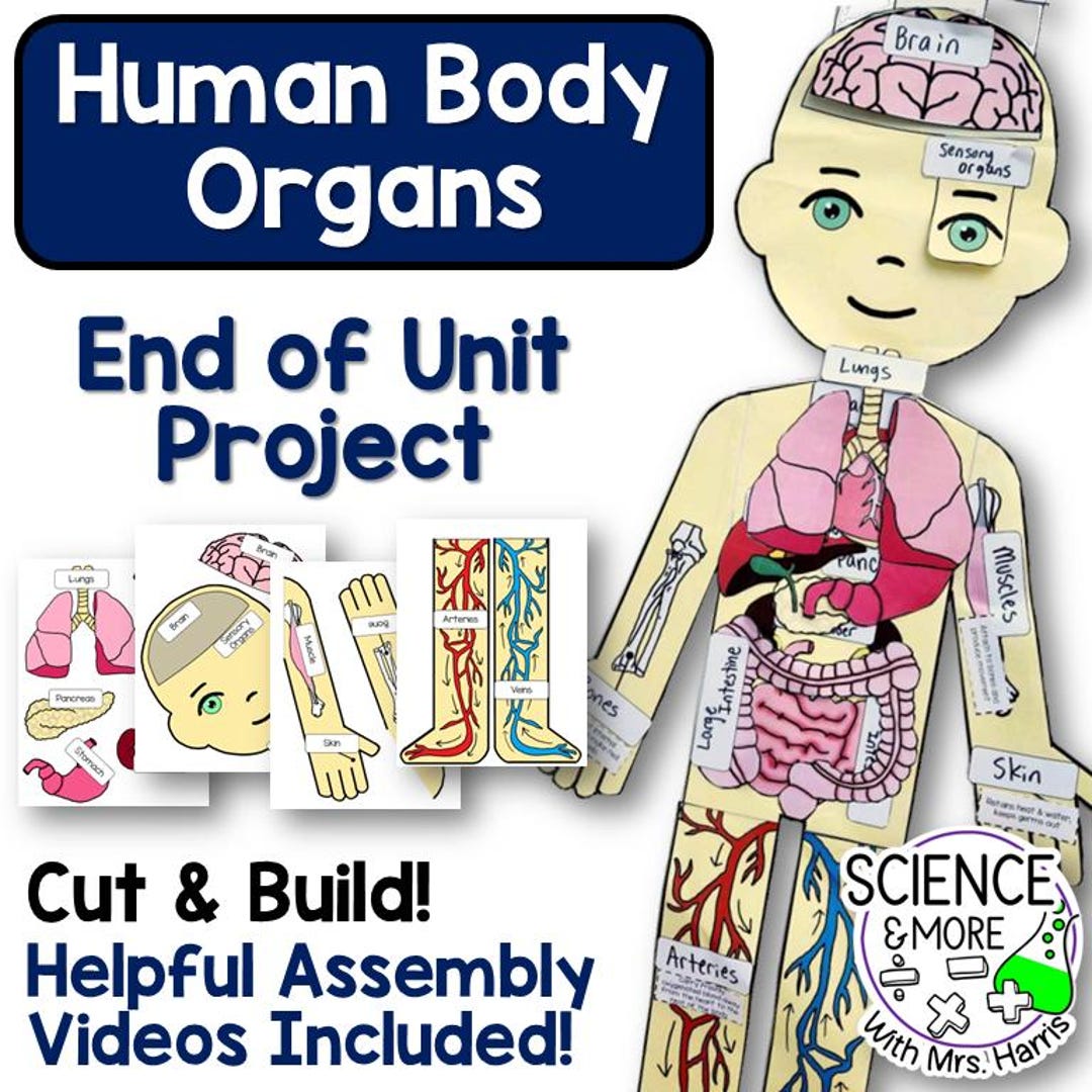 Printable Science Projects- Human Body Organs - Etsy