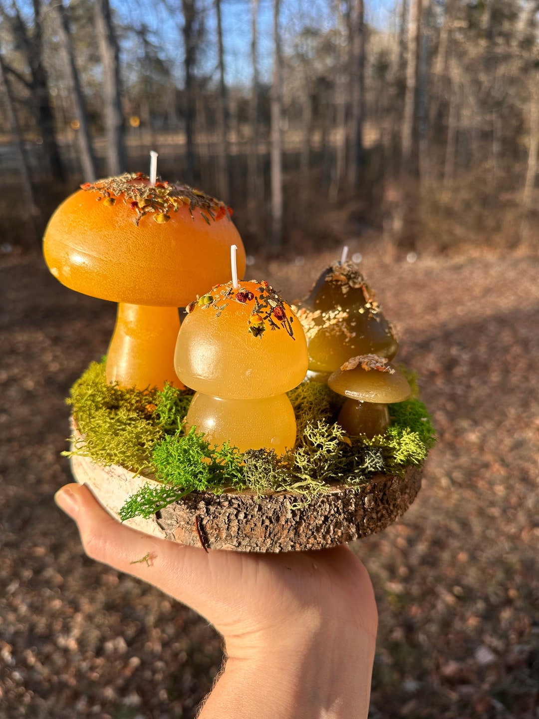 Mushroom Colony Candles - Beeswax • Homemade - Etsy
