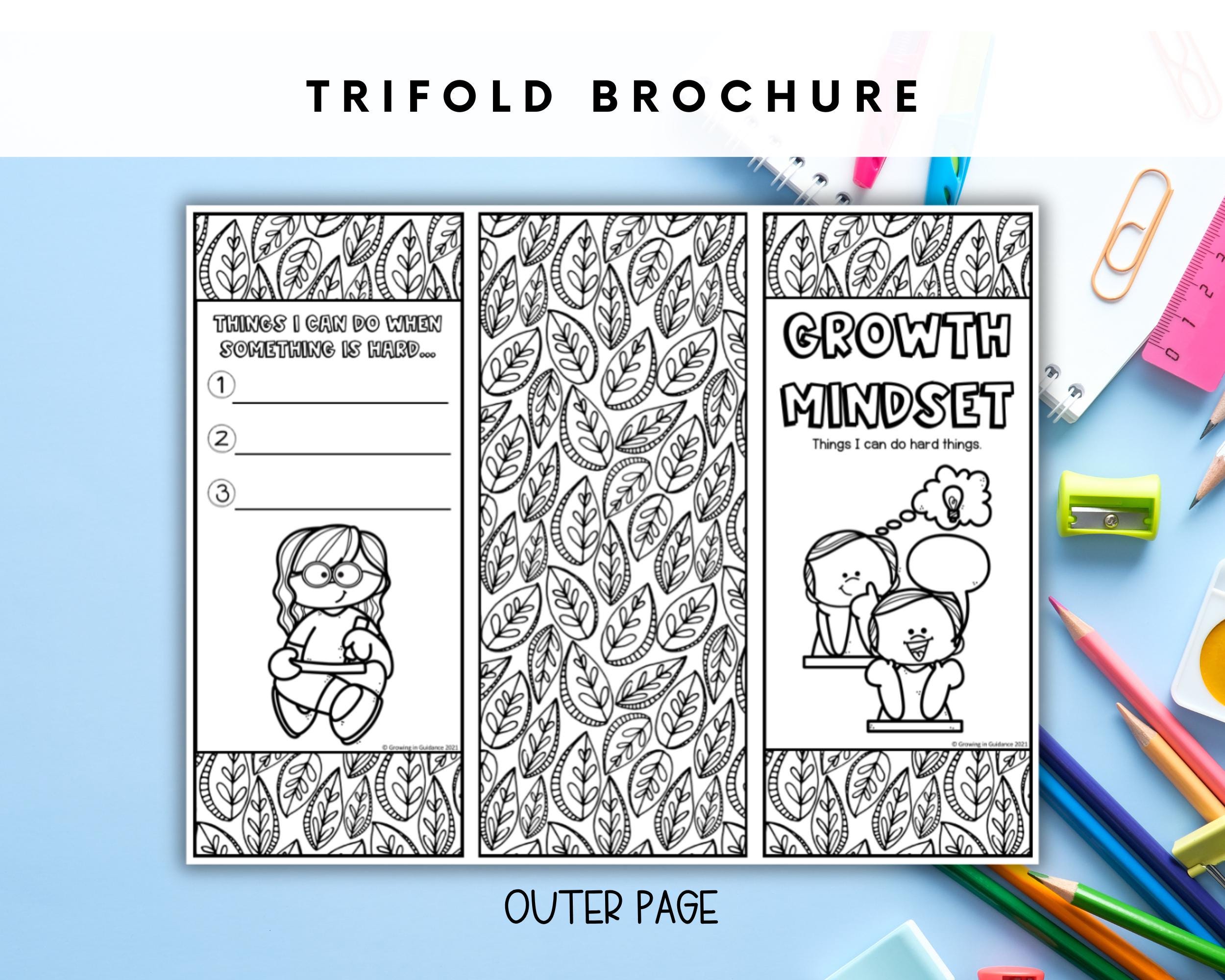 Growth Mindset Brochure K-5th Grade Perseverance Positive Attitude ...
