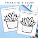 Succulent Theme Back to School Activity Pack: Growth Mindset (digital ...