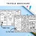 Friendship Brochure 2nd-5th Positive Relationships Social Skills ...