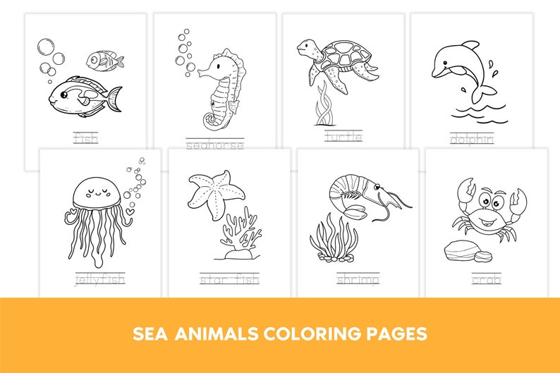 Summer Sea Animal Printable Coloring Pages for Kids, Preschoolers ...