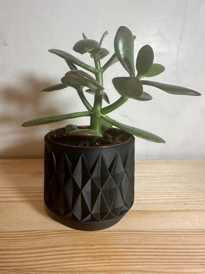 Hermès Plant Pot Printed in Natural Wood and Matte Black Perfect for ...