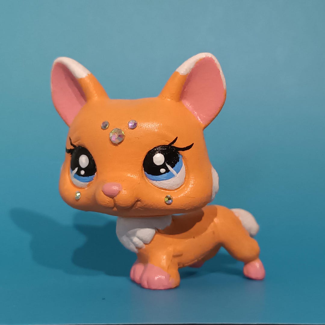 LPS Custom - Corgi - Etsy