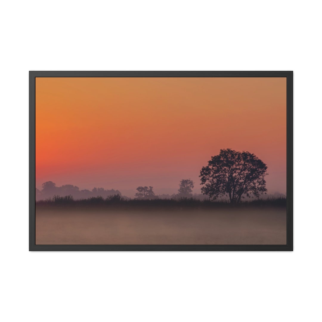 Sunrise, Misty Sunrise Over Beautiful English Land, Lone Tree, Gentle ...