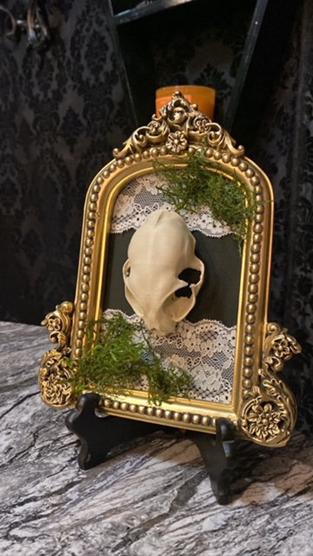 3D Printed Cat Skull Display - Etsy