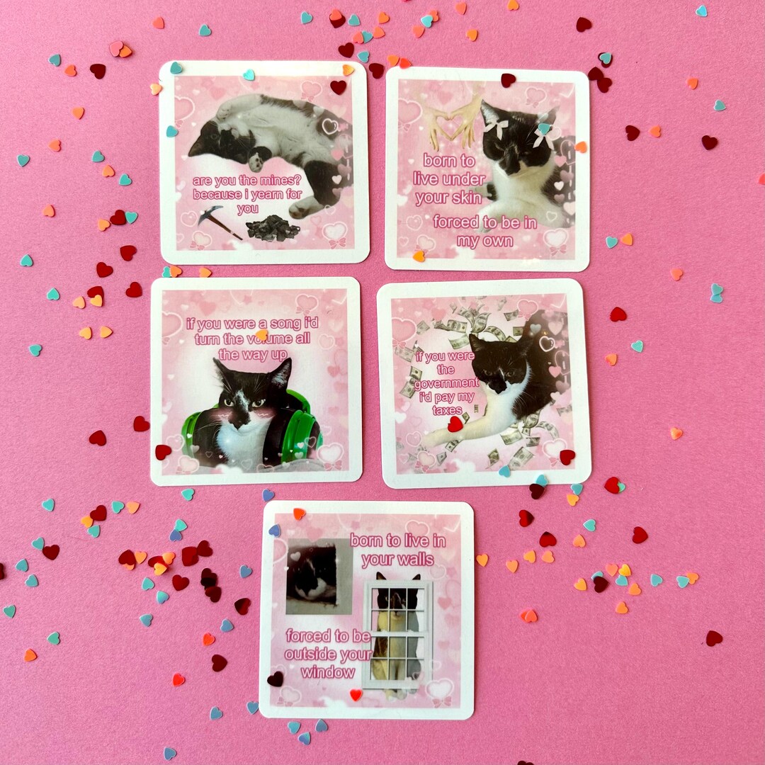 Rizz 5 Pack Kittykittyivy Stickers! Cat Humor. Sarcasm. Rizz ...