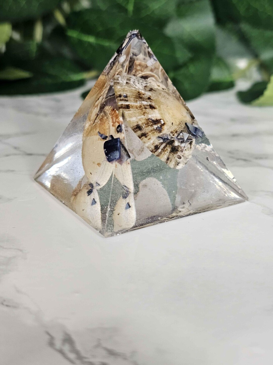 Epoxy Resin Pyramid With Naturally Sourced Sea Shells - Etsy