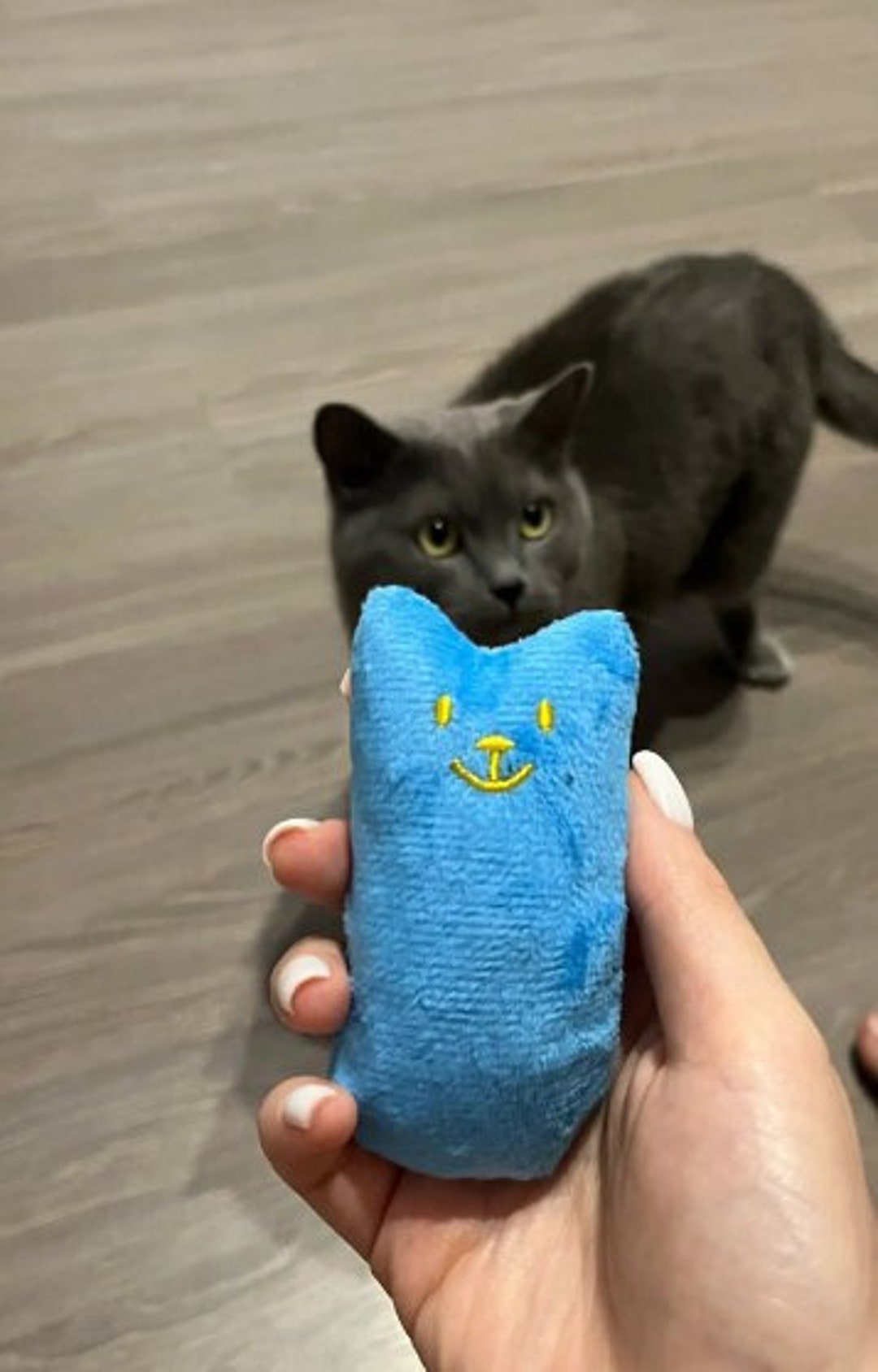 Catnip Cute Pet Toy Plush Toys Dolls Stuffed Animal Cat Pillow Sofa Car ...