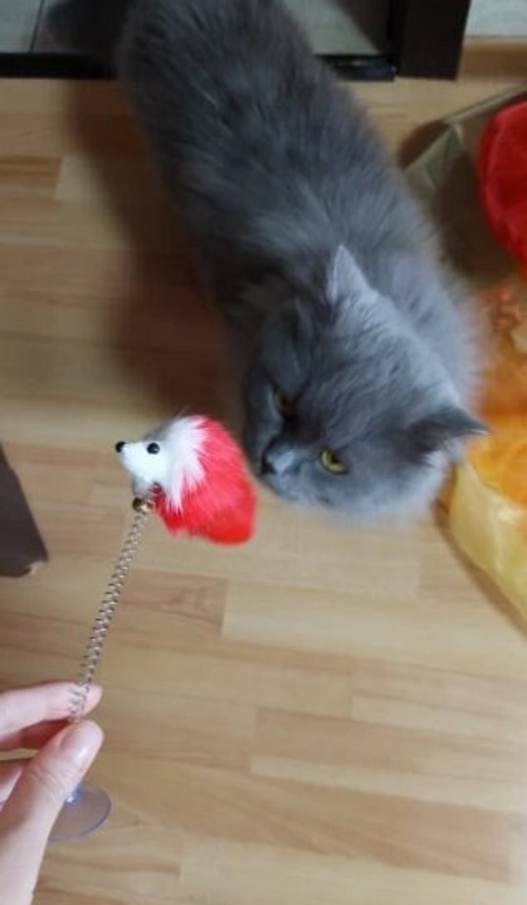 Interactive Cute Pet Toy Cartoon Pet Cat Toy Stick Feather Rod Mouse ...