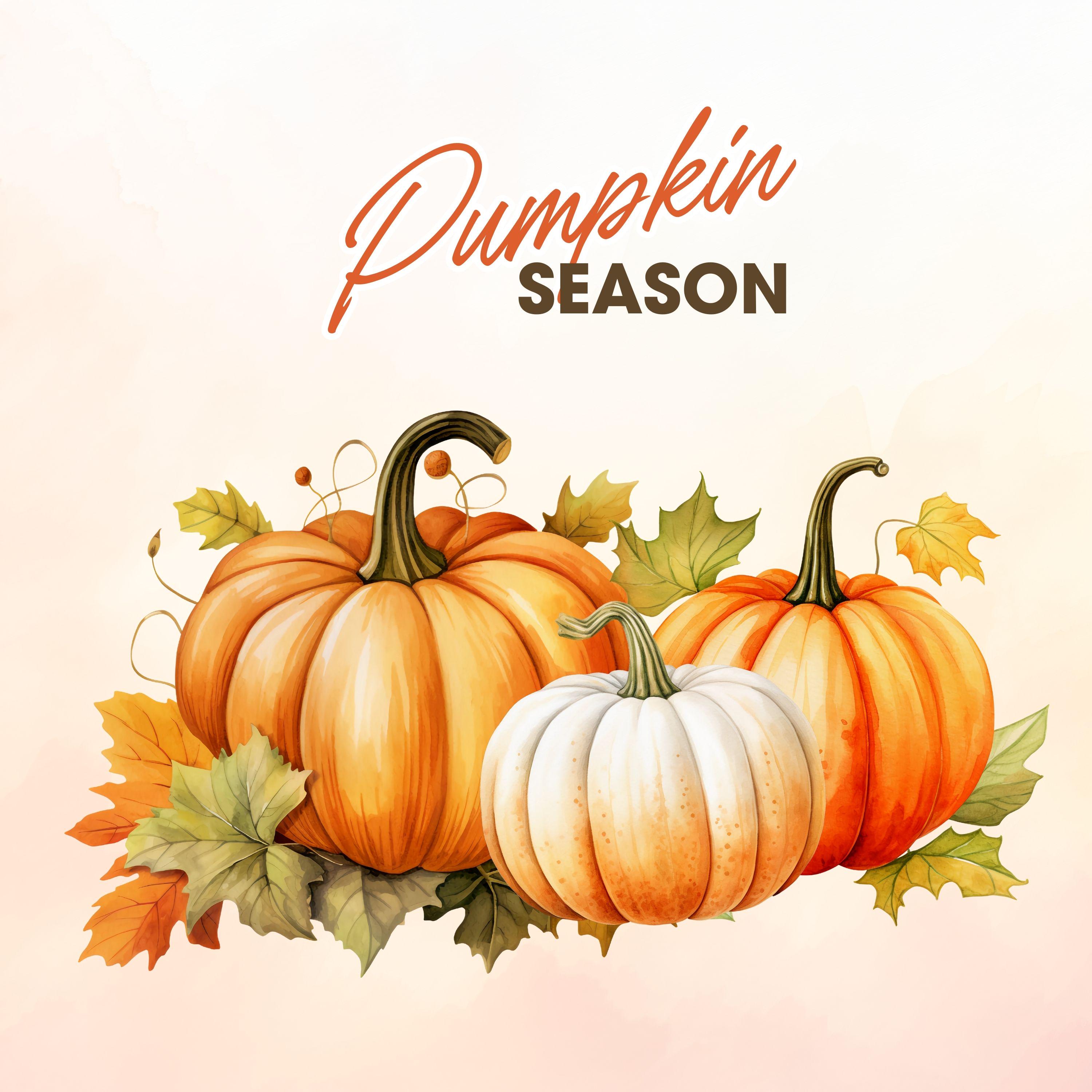 Watercolor Pumpkin Clipart: Autumn PNG Bundle (20 Files) - Etsy