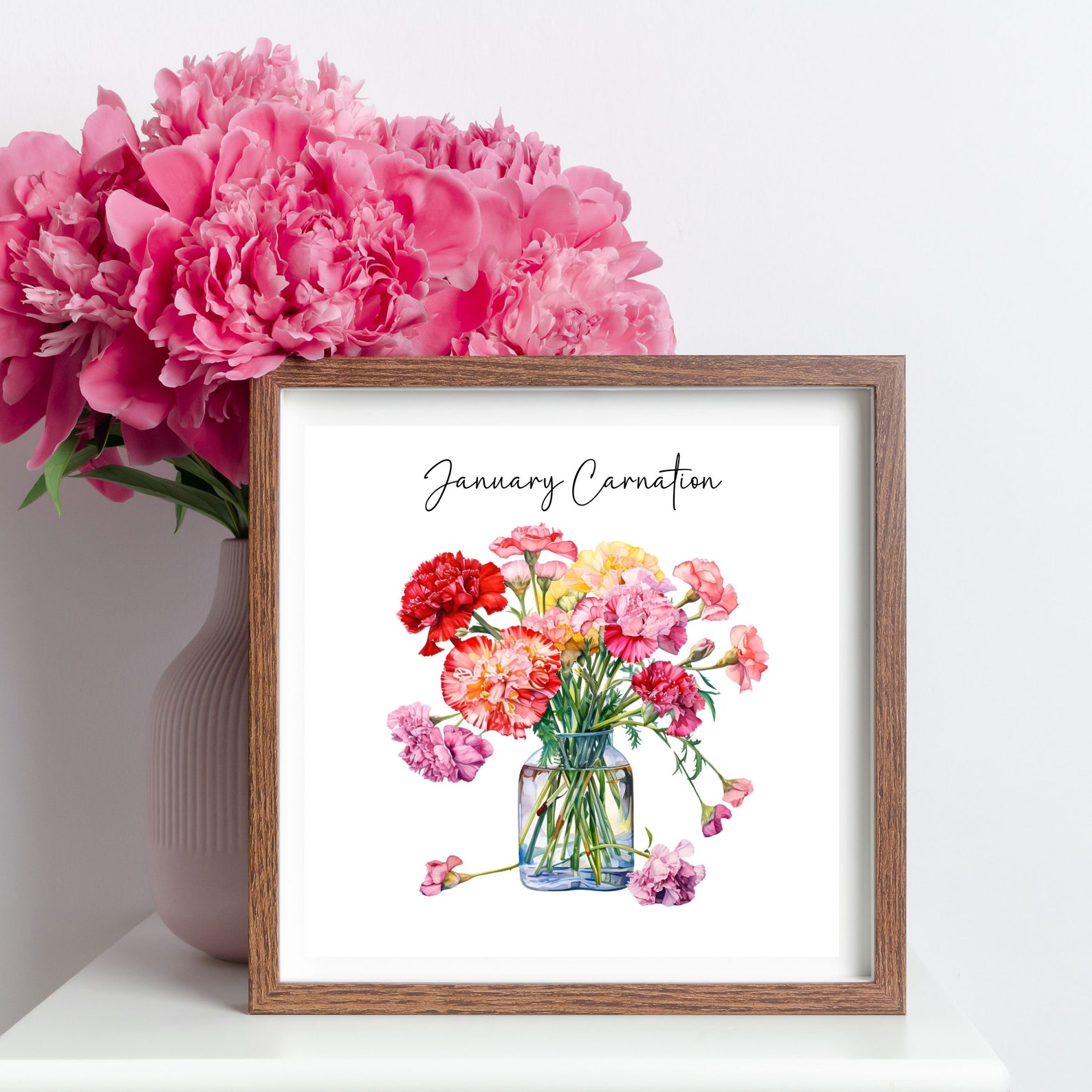 Carnation Watercolour Clip Art PNG, Carnation January Birth Month ...