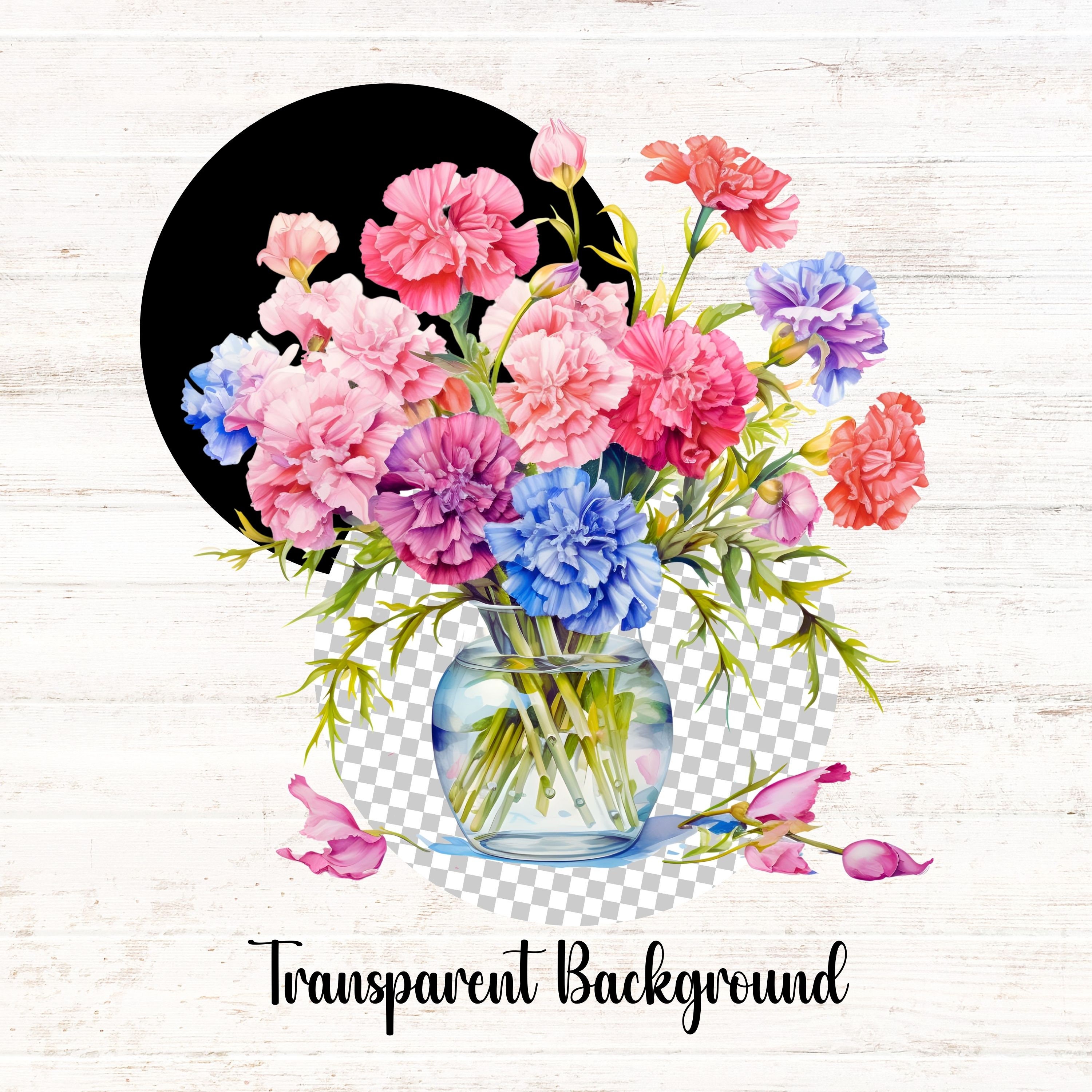 Carnation Watercolour Clip Art PNG, Carnation January Birth Month ...