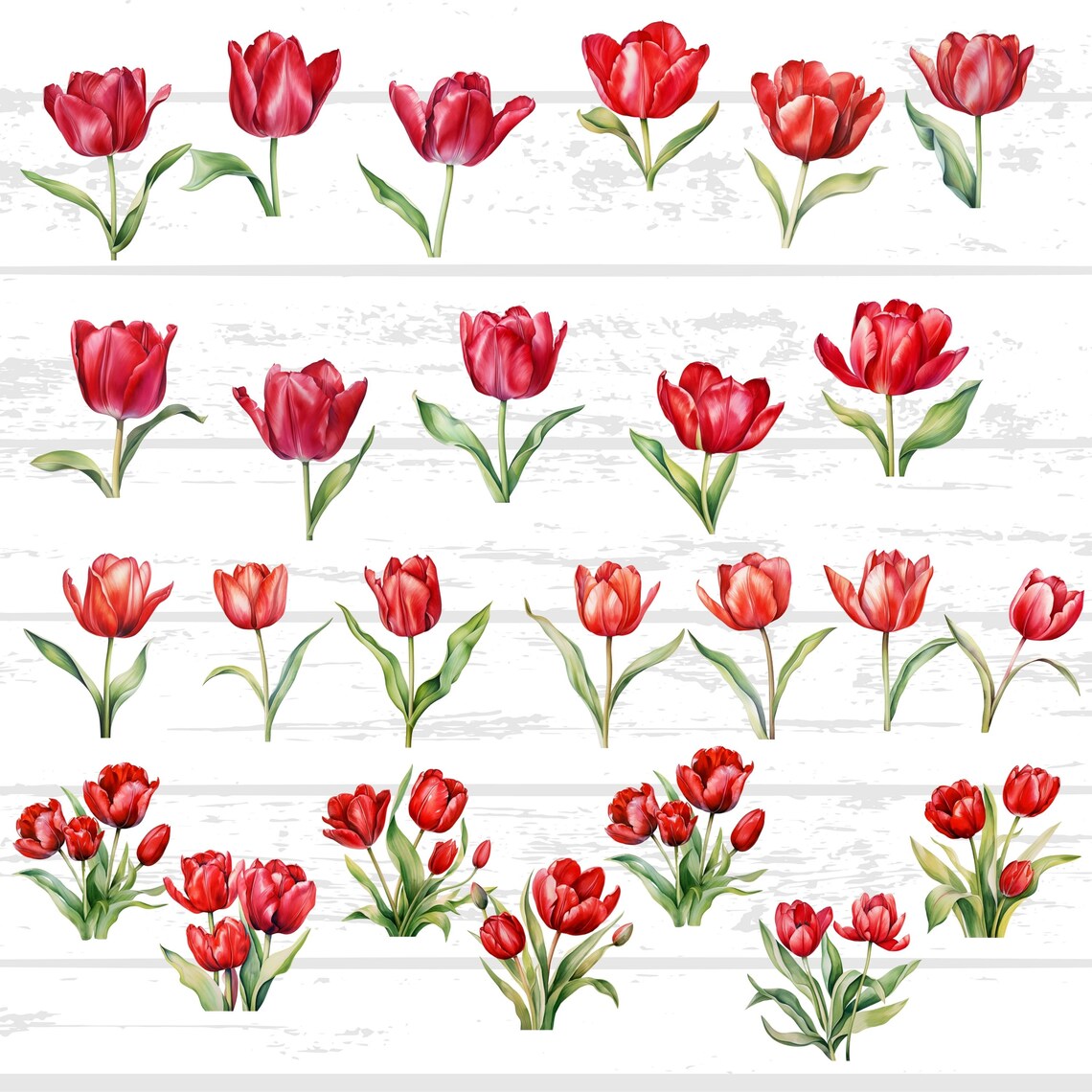 Watercolor Red Tulips Clipart, Red Tulip Clipart Bundle, Tulip Flower ...