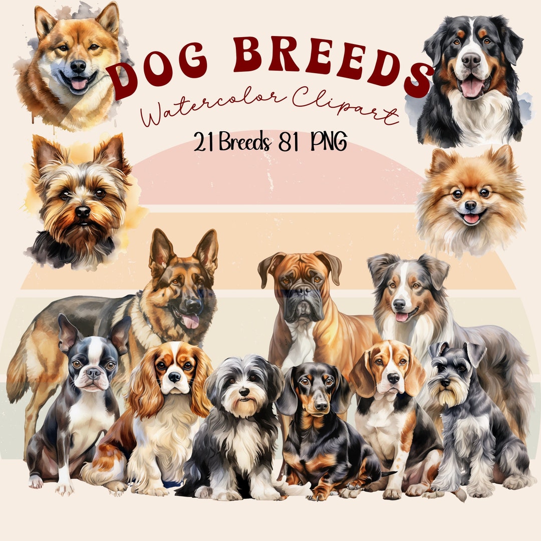 81 Dog Breeds Watercolor Clipart Bundle (PNG) - Etsy