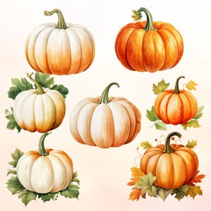 Watercolor Pumpkin Clipart: Autumn PNG Bundle (20 Files) - Etsy