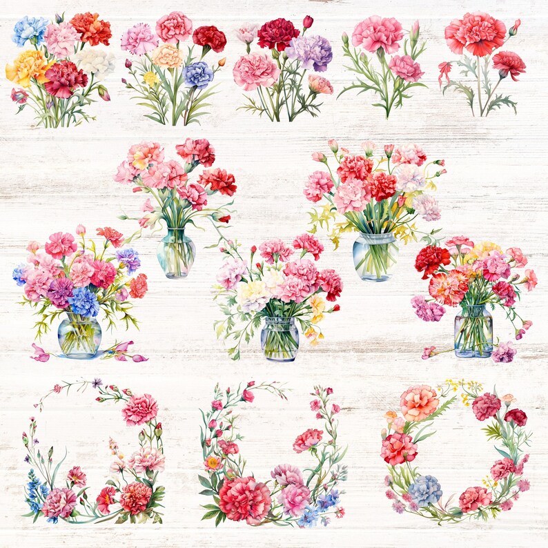 Carnation Watercolour Clip Art PNG, Carnation January Birth Month ...