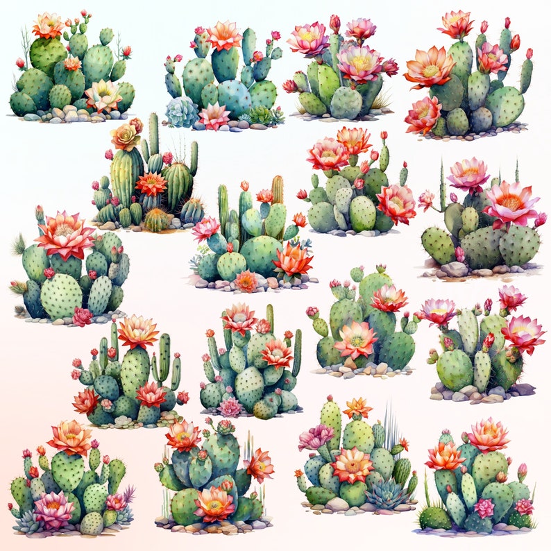 Watercolor Cactus Clipart: Desert Landscape PNG (digital Download) - Etsy