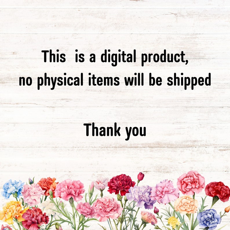 Carnation Watercolour Clip Art PNG, Carnation January Birth Month ...