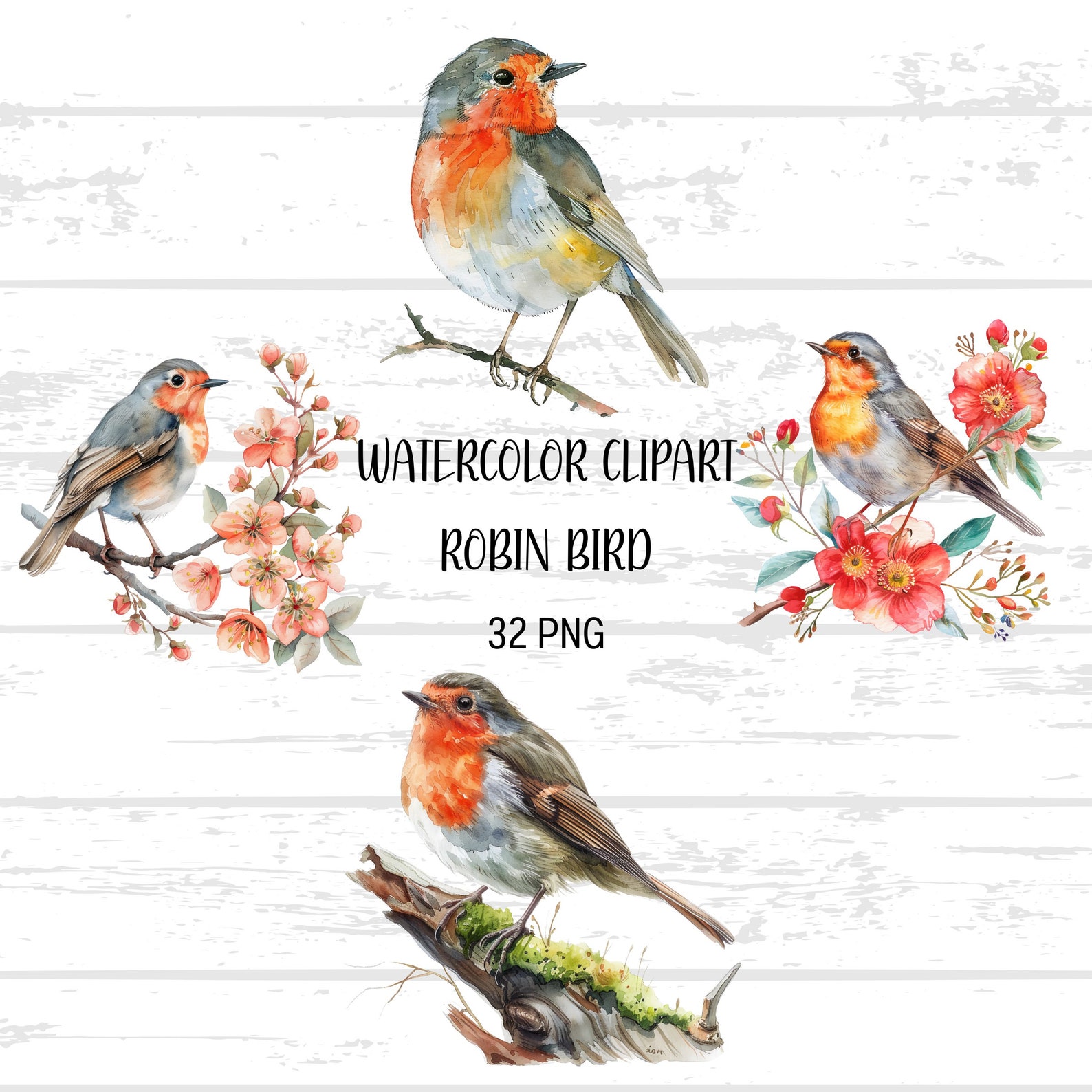 Robin Bird Watercolor Clipart Bundle, Watercolor Bird Clipart, Cute ...